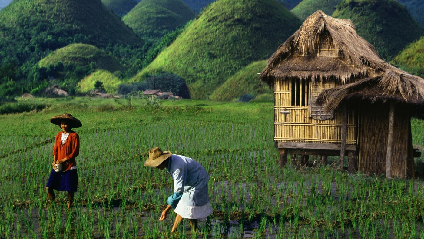 What Are Parity Rights?