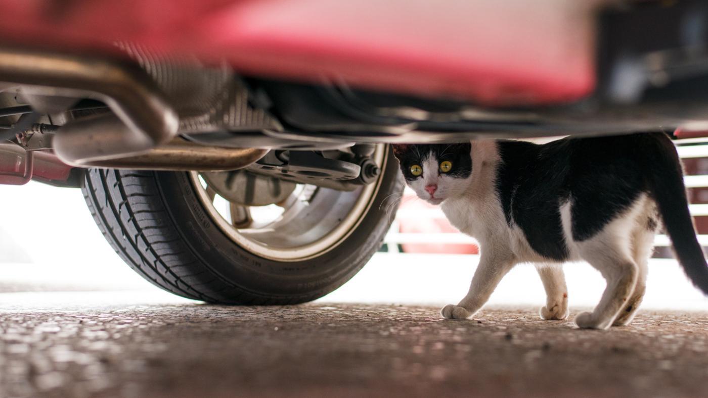 What Is a K Frame on a Car?