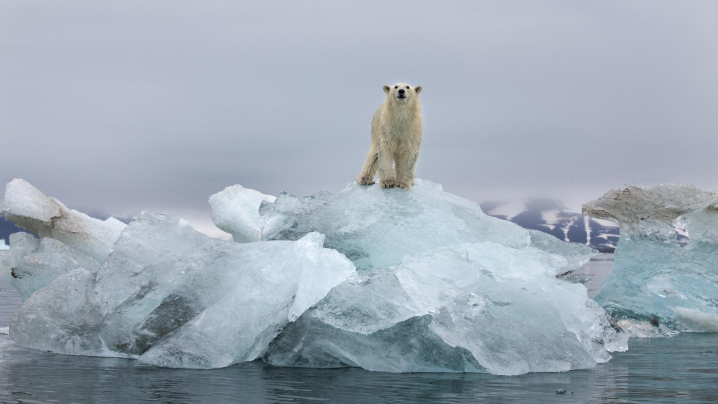 What Is the Definition of a Geographical Barrier?