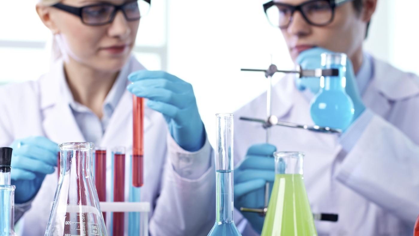 What Is an Experimental Setup in Science?