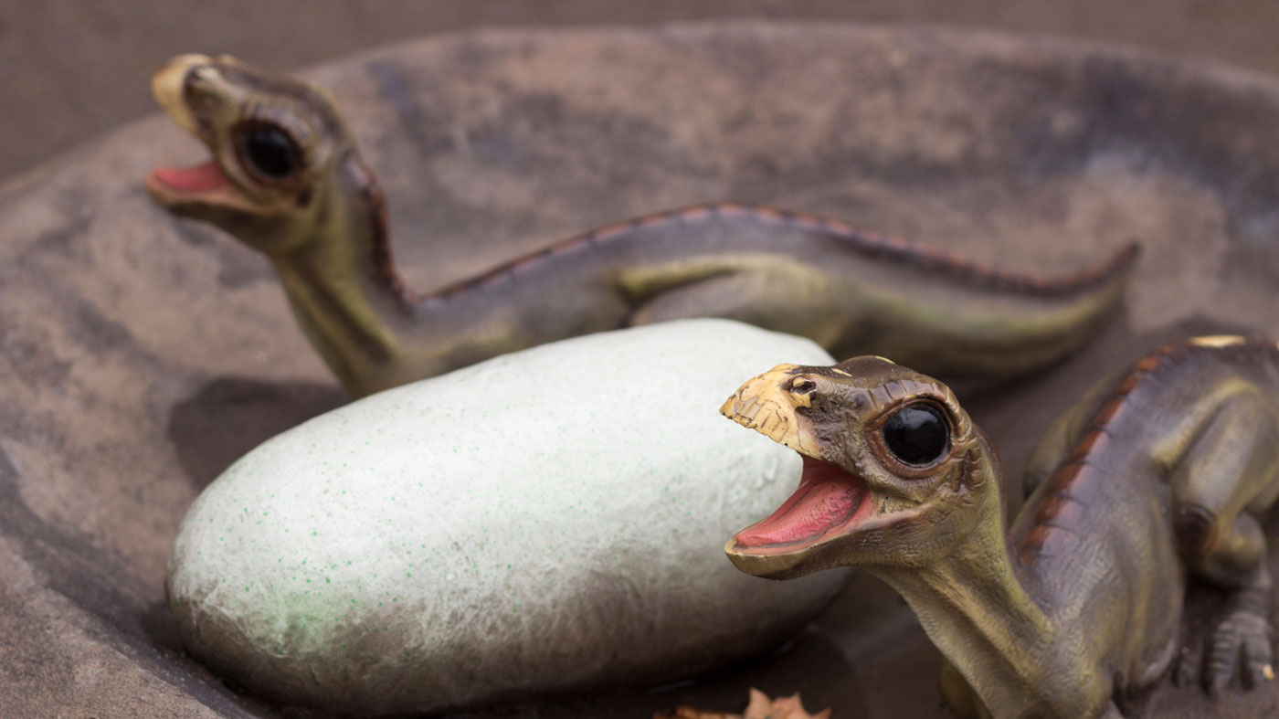 What Is a Baby Dinosaur Called?