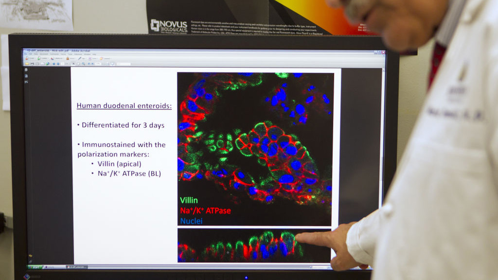Which Body Parts Start with the Letter "D"?