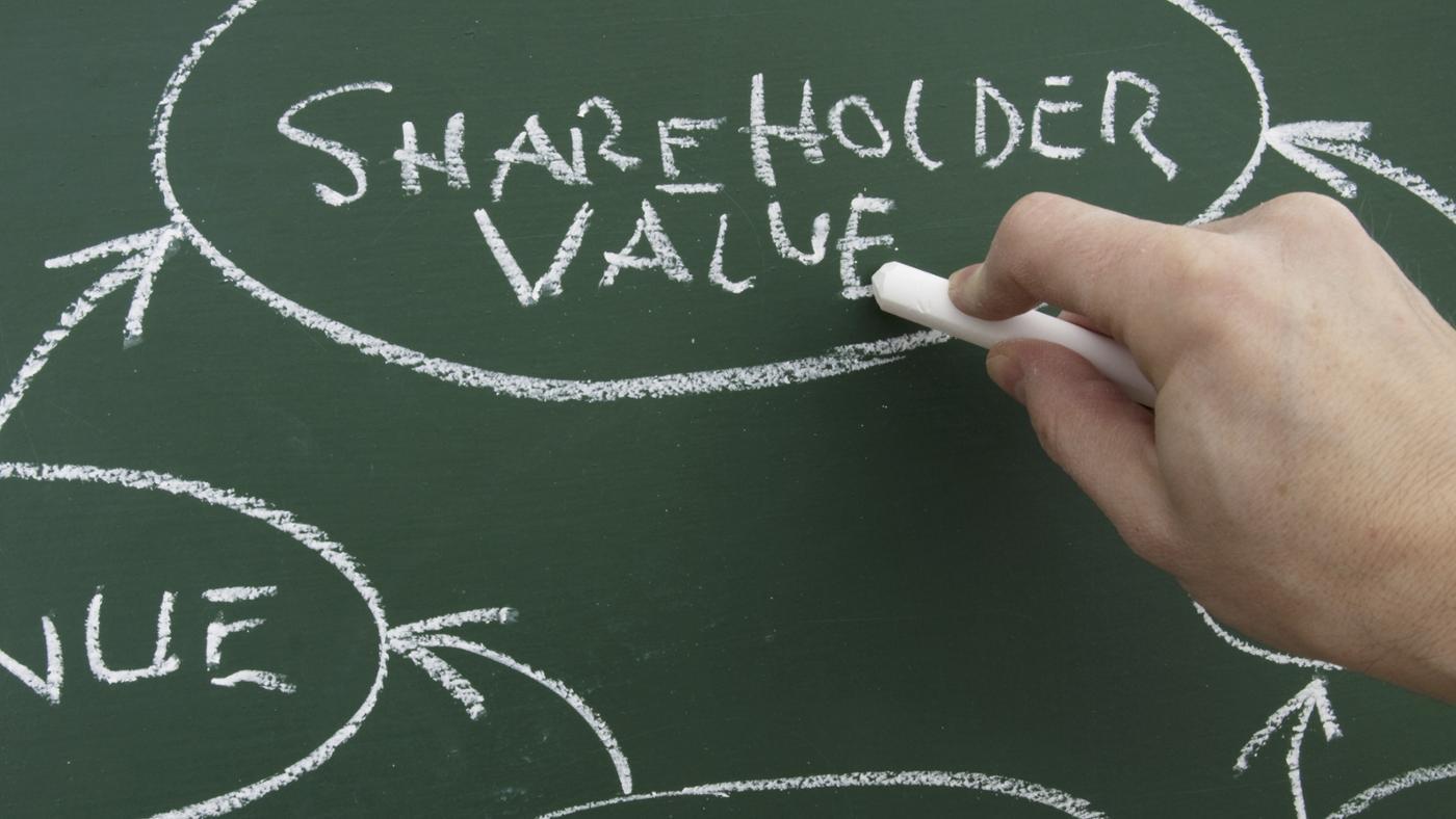 What Is the Meaning of "shareholder's Funds"?