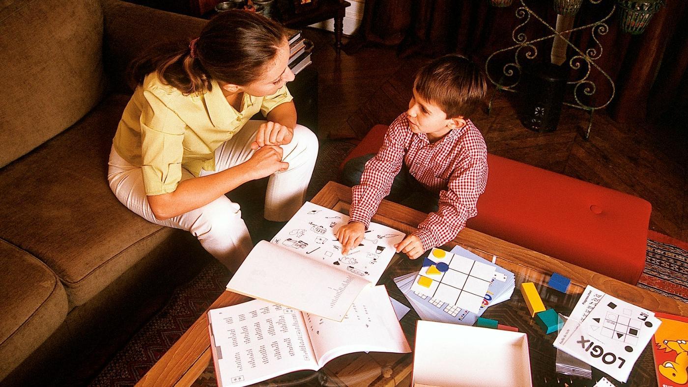 What Is the Slosson IQ Test?