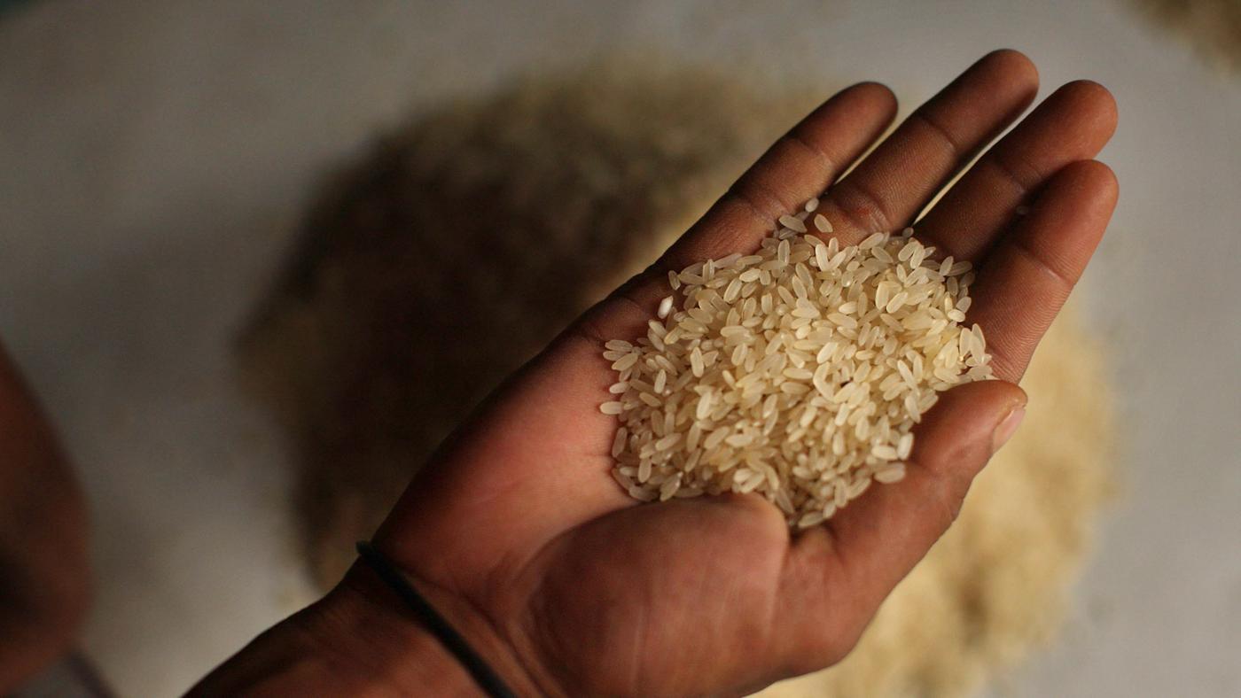 How Much Does a Single Grain of Rice Weigh?