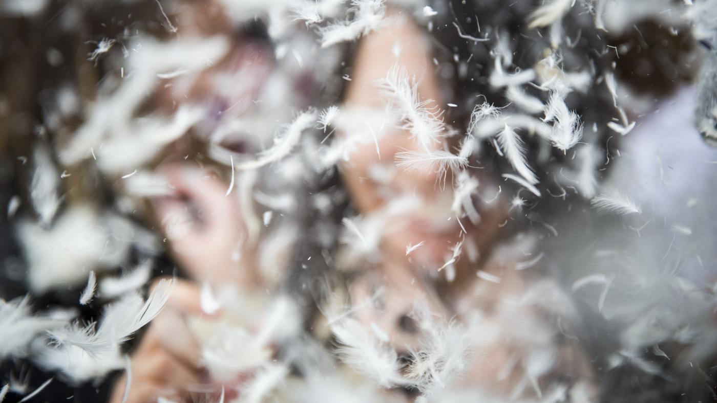 How Much Does a Feather Weigh?