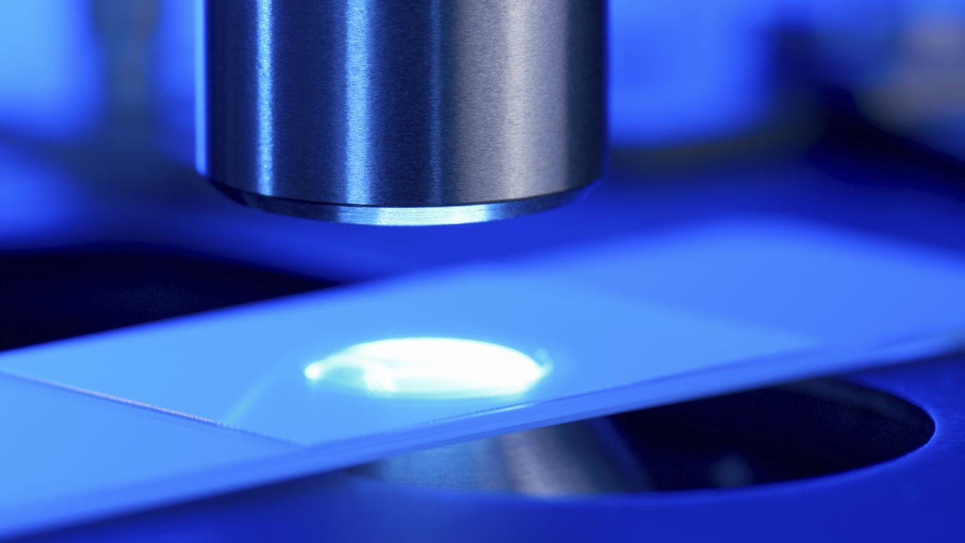 Who Invented the Light Microscope?