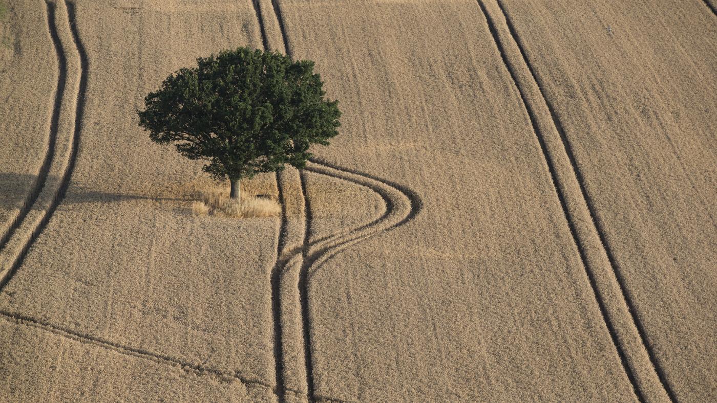 What Are the Dimensions of a Section of Land?