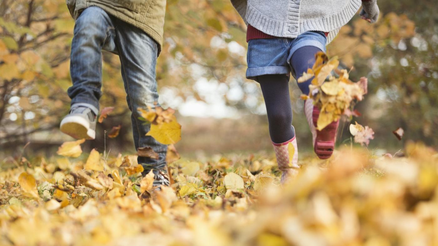 What Are the Four Seasons in Order?