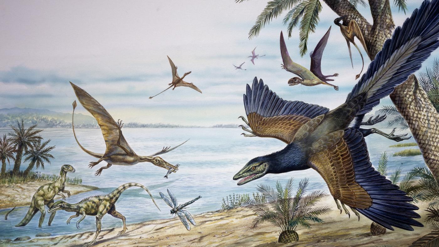 What Major Events Happened During the Jurassic Period?