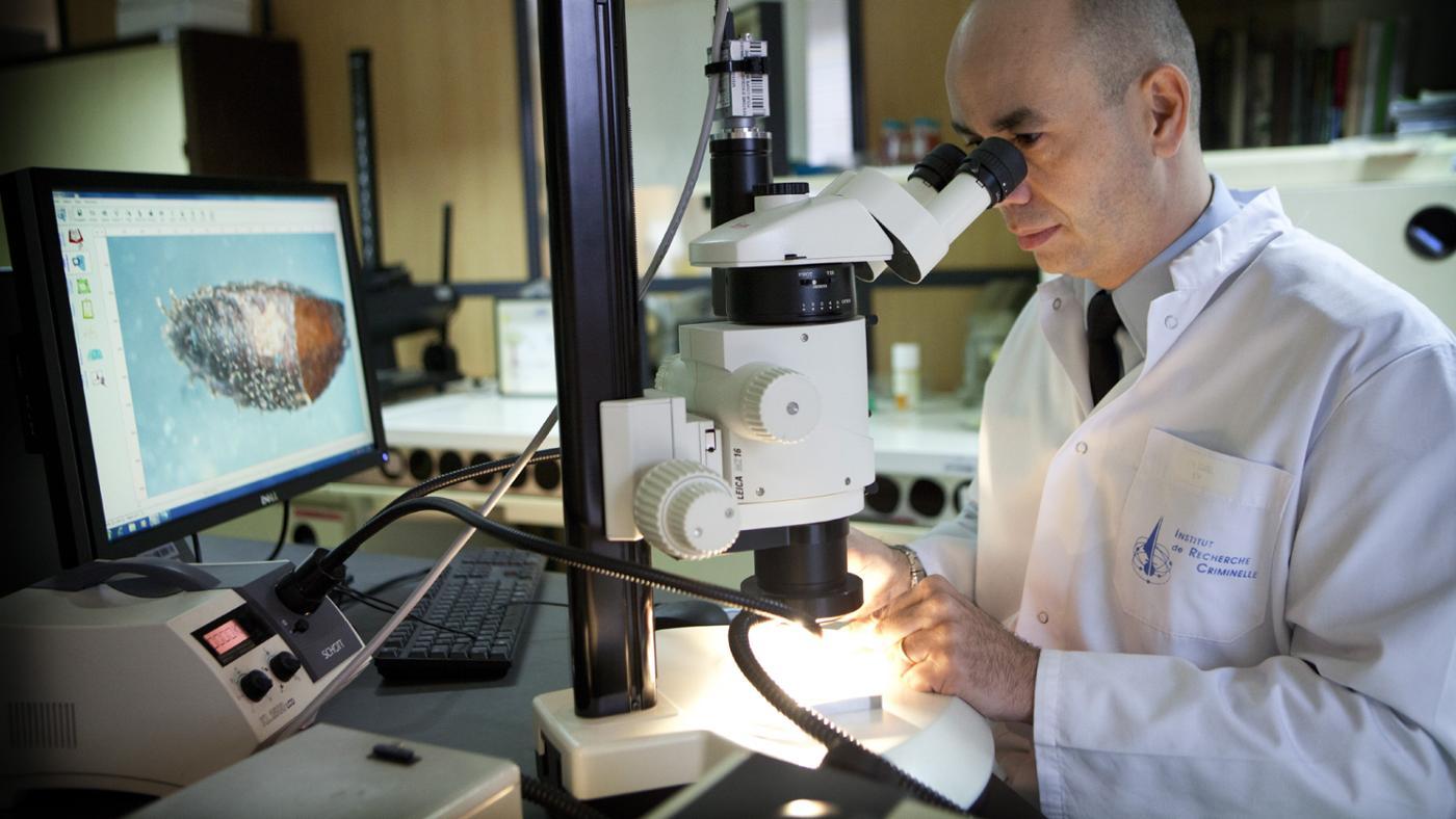 What Are Some Famous Forensic Entomology Cases?