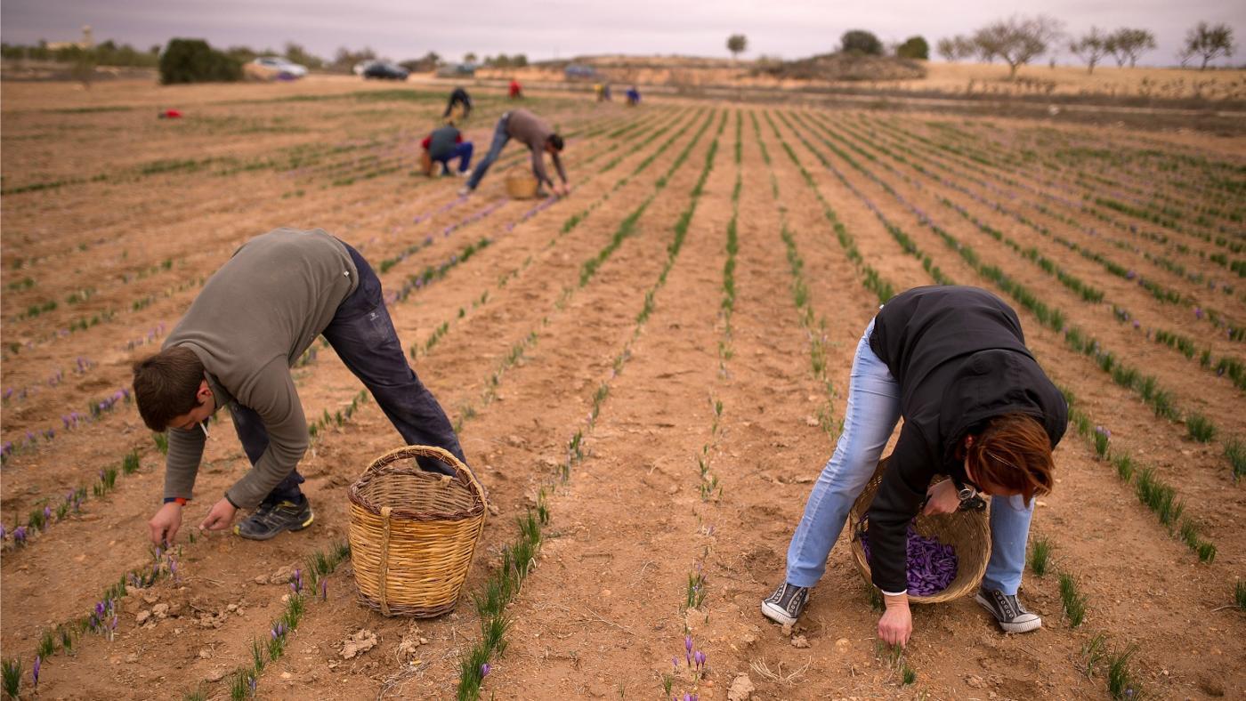 What Are the Natural Resources of Spain?