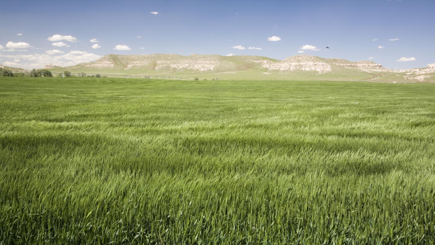 Where Are Prairies Located?