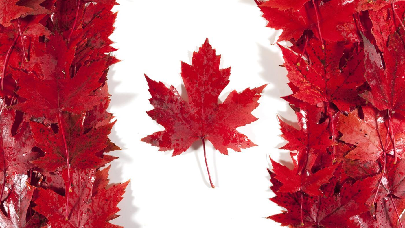 Why Is the Maple Leaf Important to Canada?
