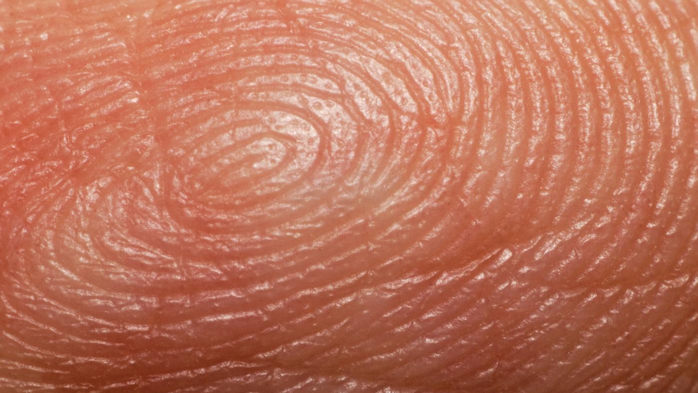 What Is the Difference Between Visible and Latent Fingerprints?