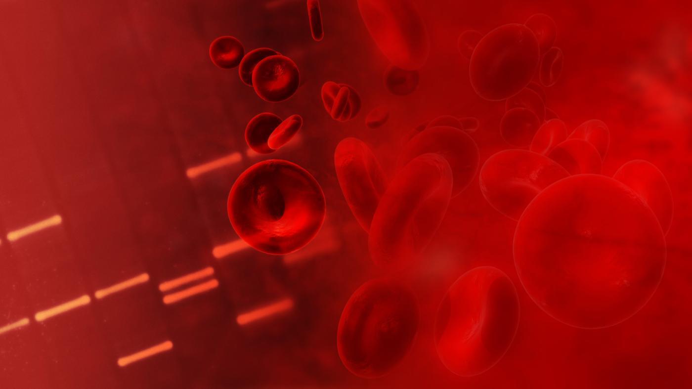 At What Temperature Does Human Blood Boil?