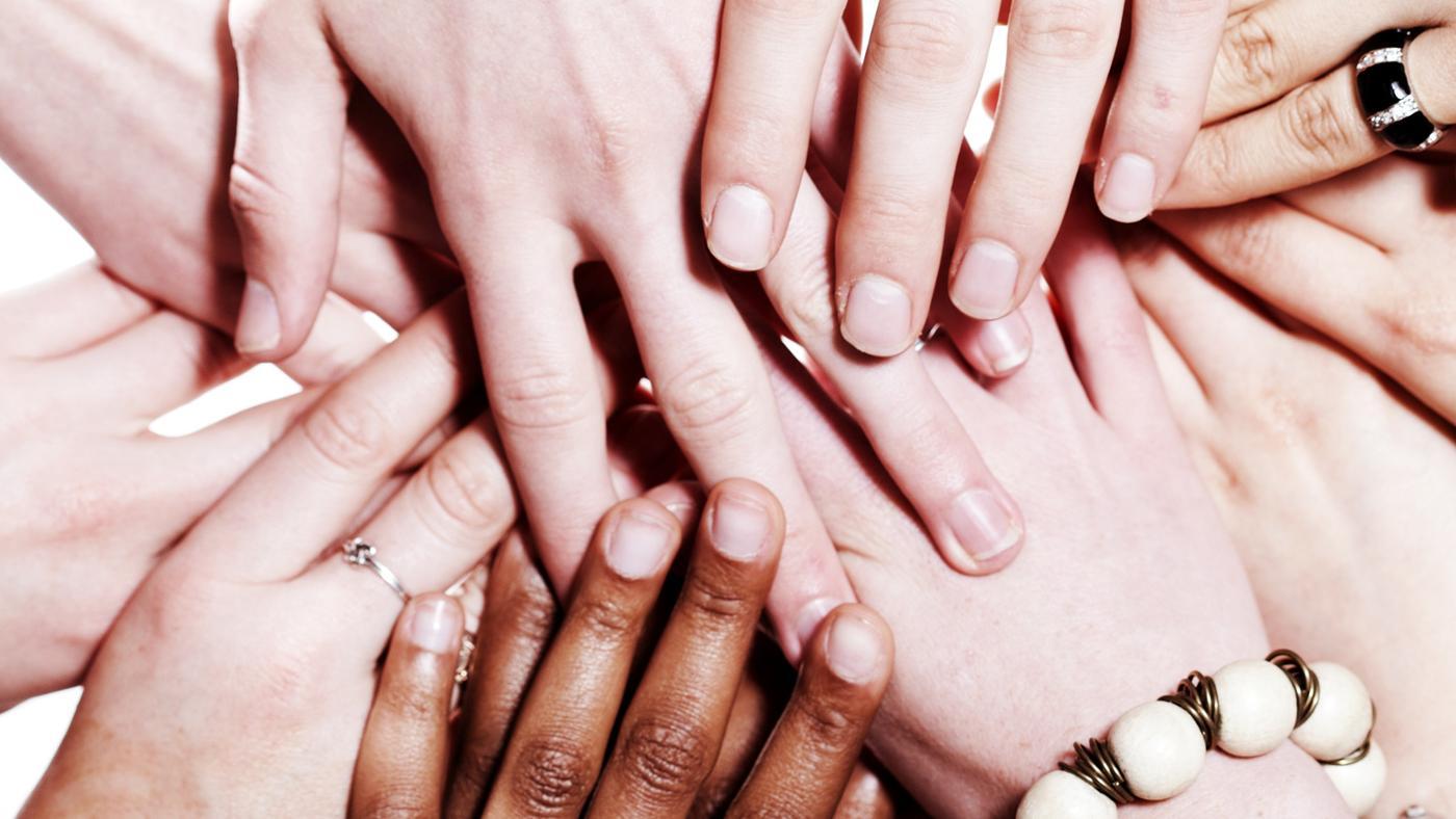 What Is the Function of a Professional Body?