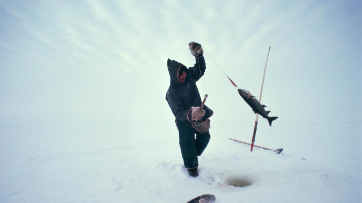 What Do Eskimos Eat?