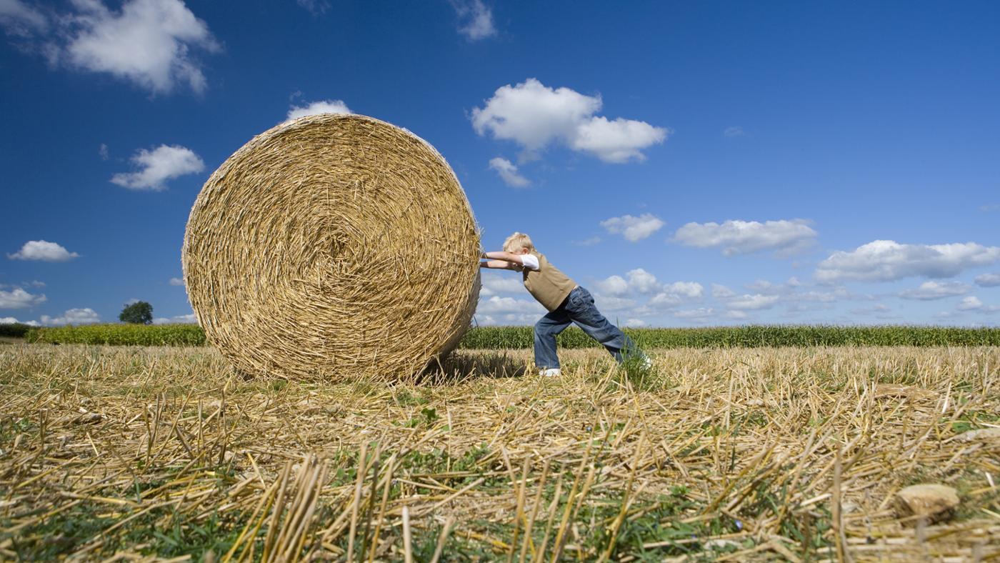 What Is the Size of a Standard Hay Bale?