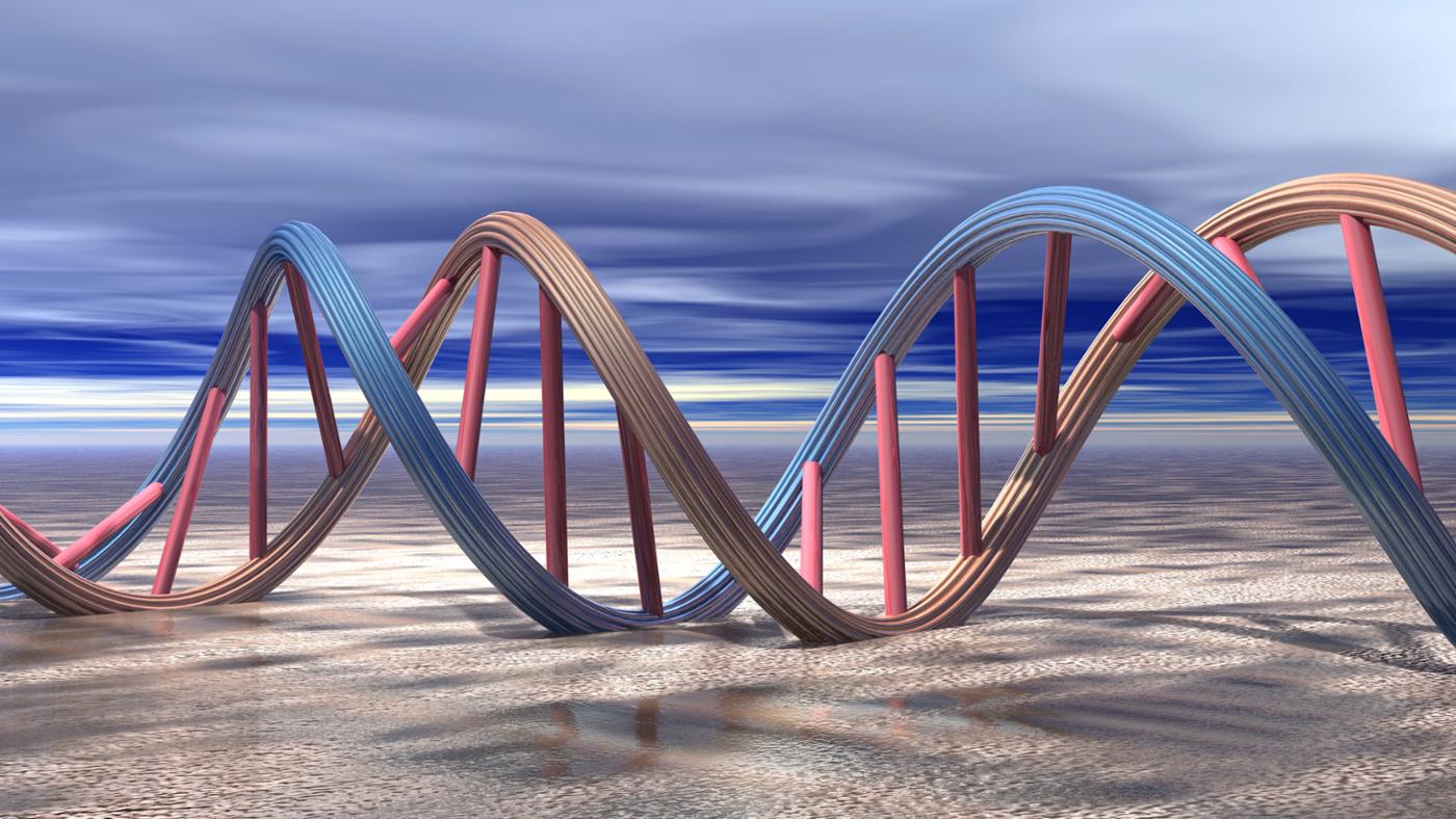 Why Does DNA Need to Replicate?