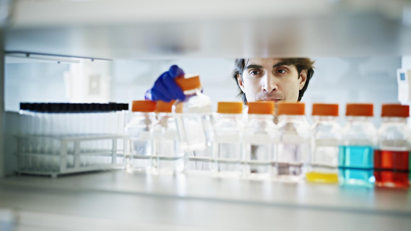 What Are the Branches of Environmental Science?