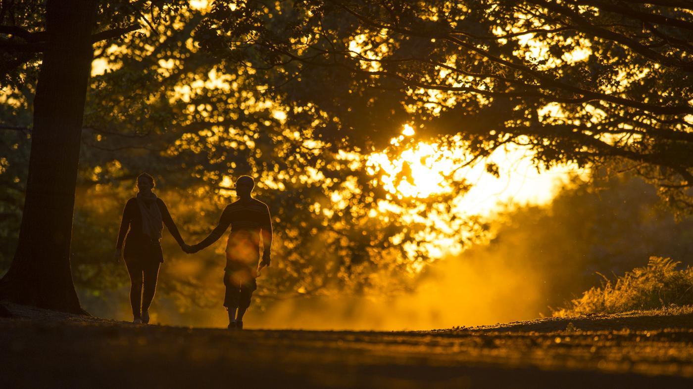 What Is a Blazon in Poetry?