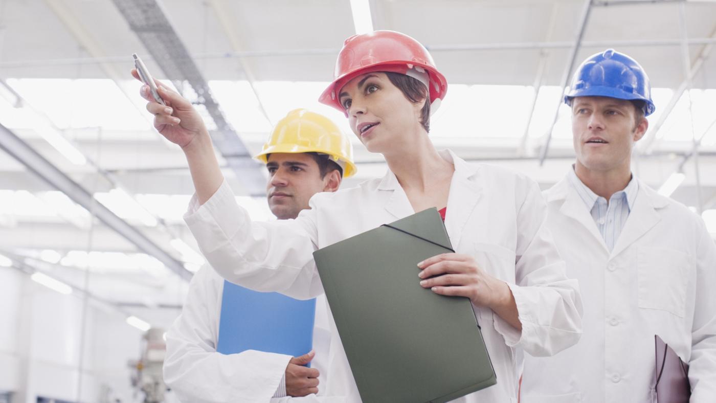 What Is the Meaning of "professional Standards"?