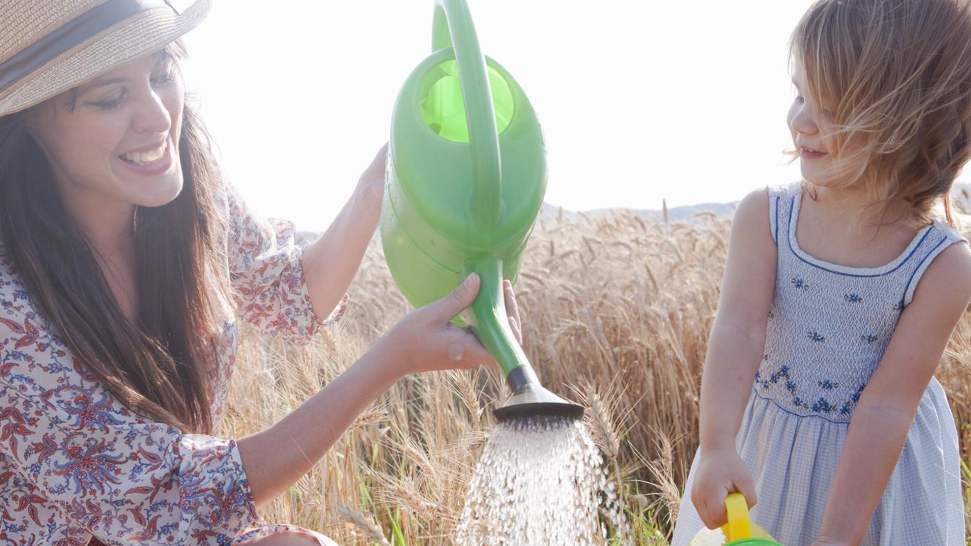 What Is the Definition of Social Development?