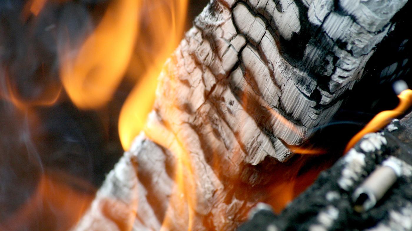What Happens When Wood Burns?
