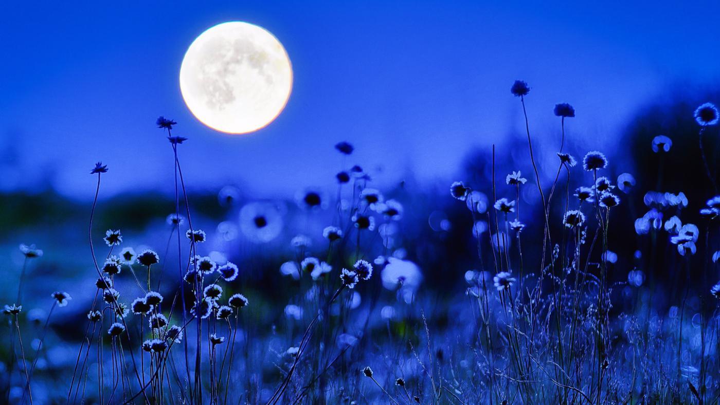 What Is the Blue Corn Moon in the Movie "Pocahontas?"