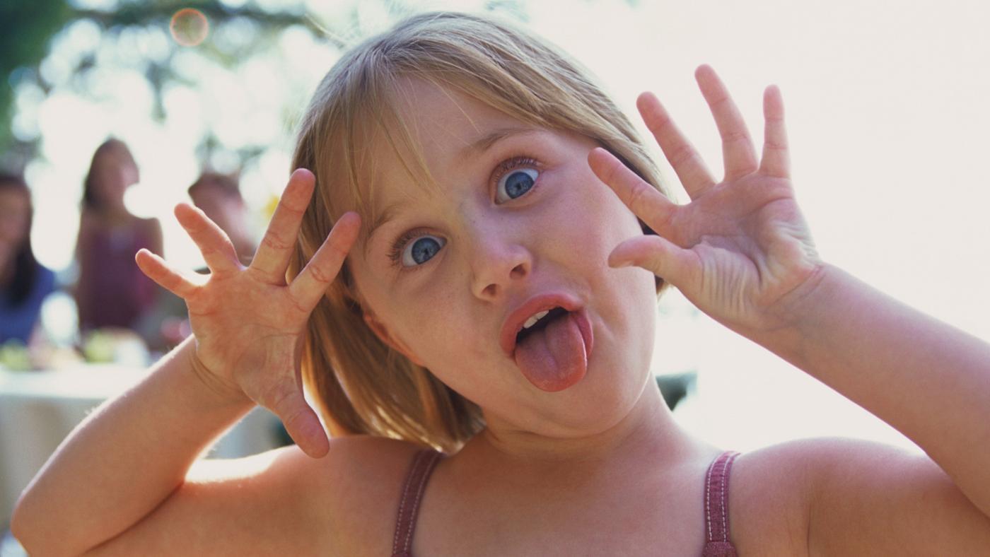 Why Do We Say "silly Goose"?