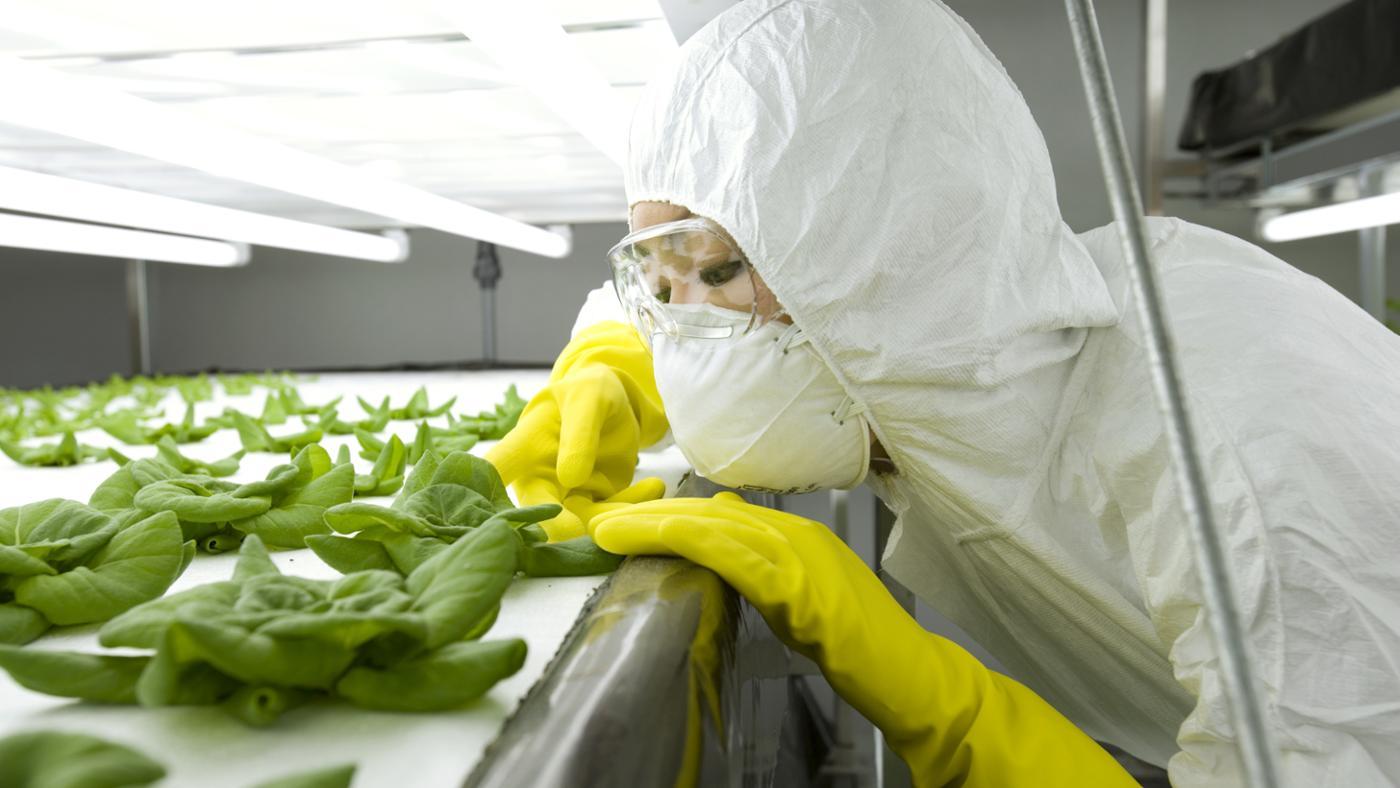 What Is Traditional Biotechnology?