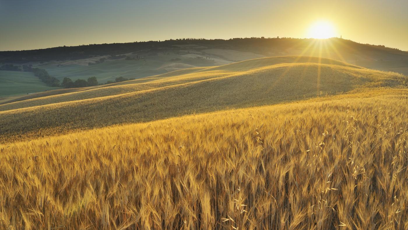 What Is the Difference Between Sunrise and Dawn?