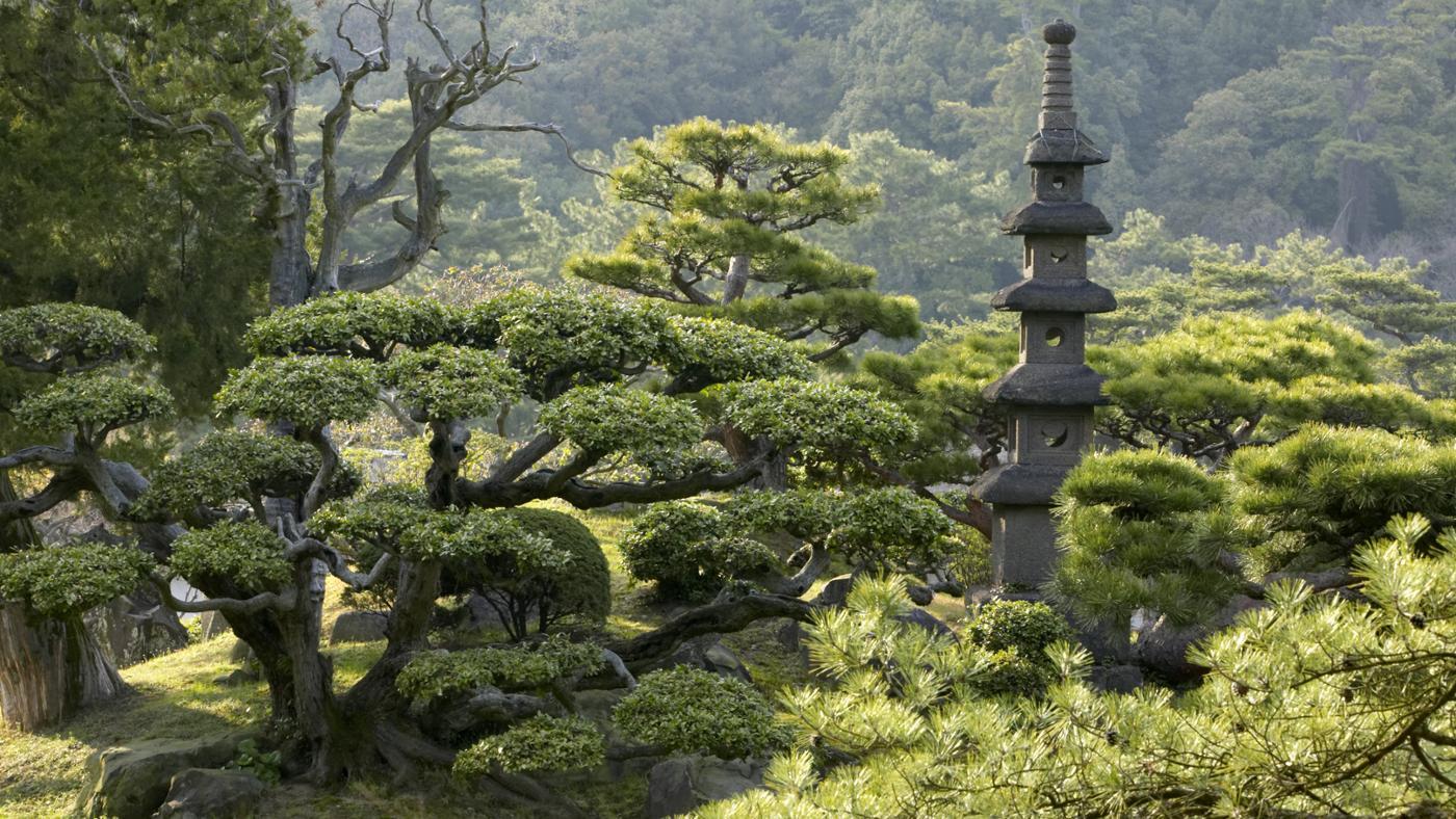 What Was the Role of the Daimyo in Feudal Japan?