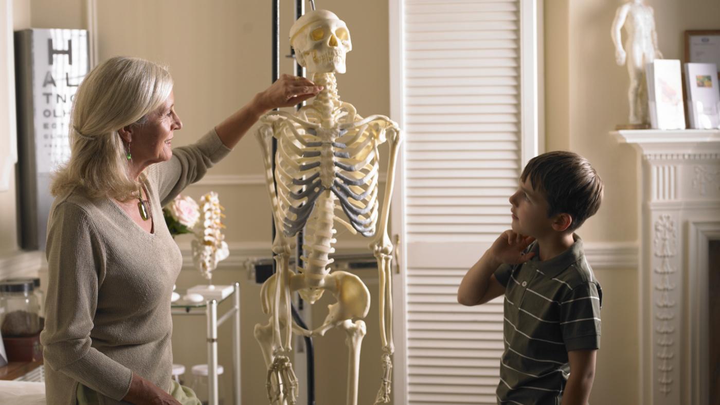 what-are-the-four-types-of-bones-in-the-human-body