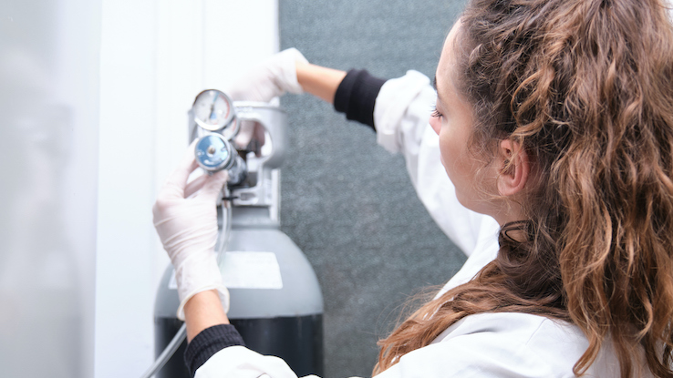 Which Elements in the Periodic Table Are Gases at Room Temperature?