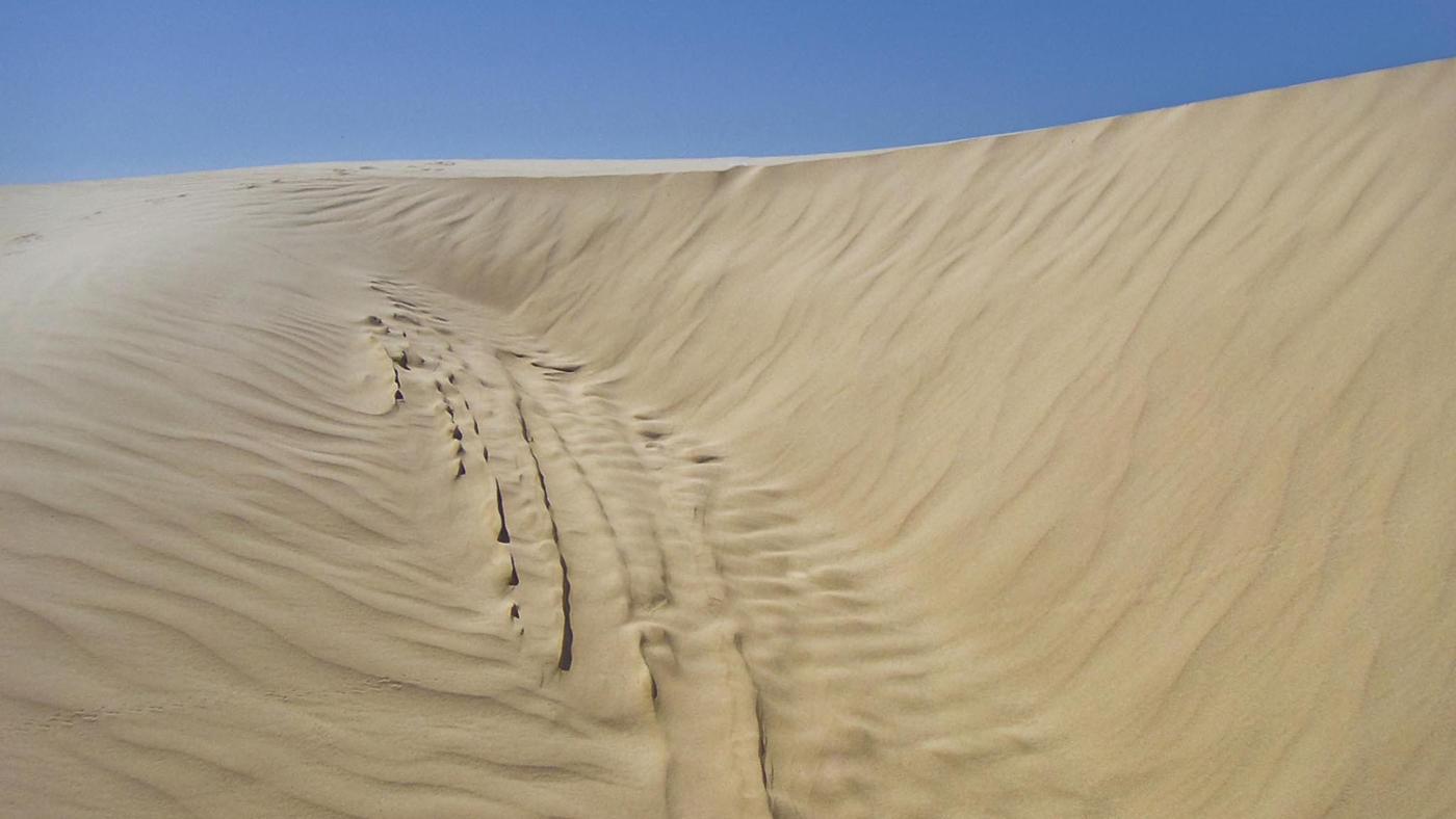 What Is the Weight of 1 Cubic Yard of Sand?