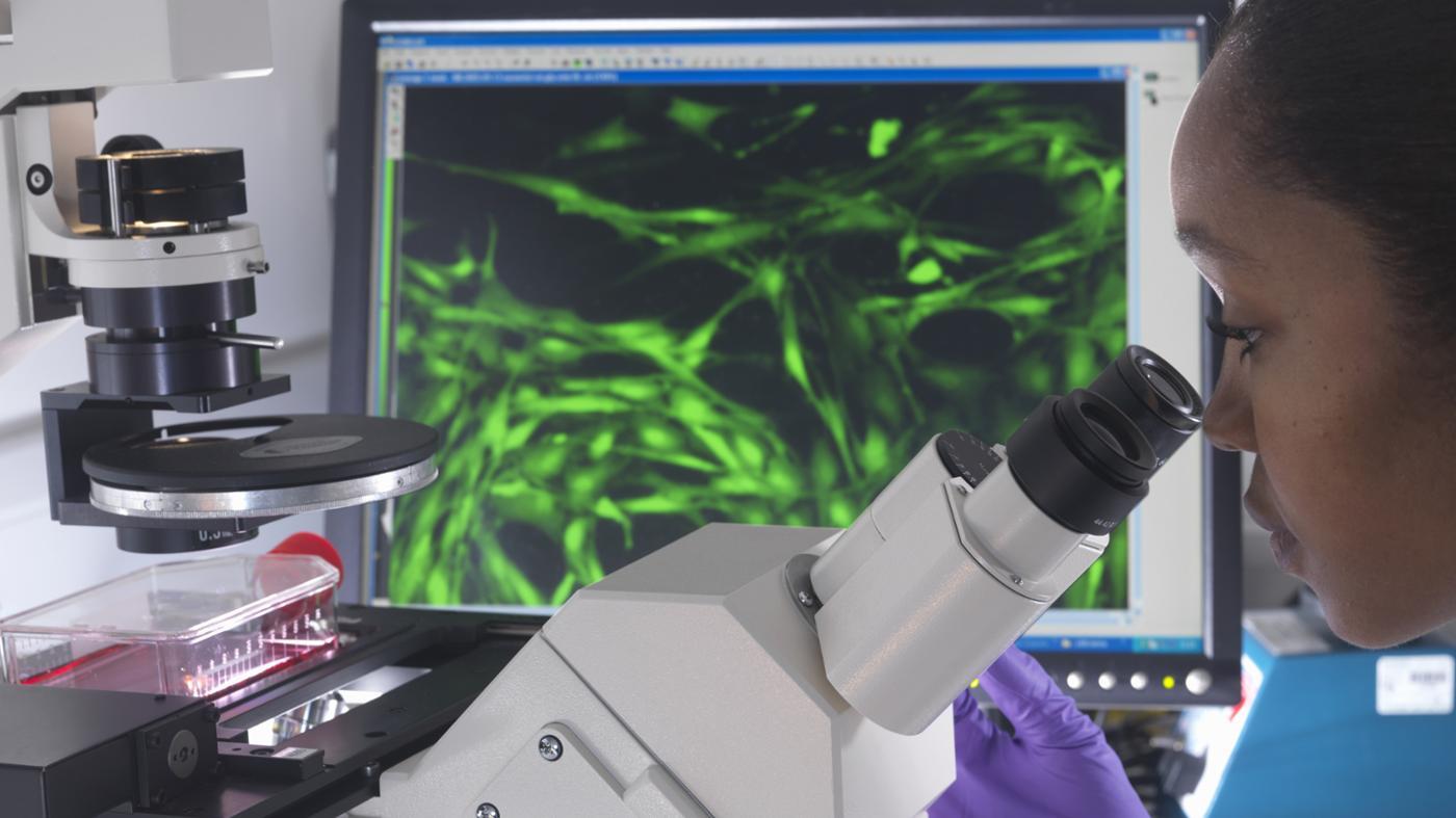 How Do You Define "cellular Level"?