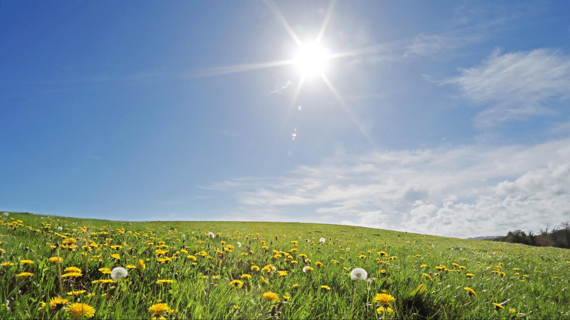 What Are the Seven Weather Elements?