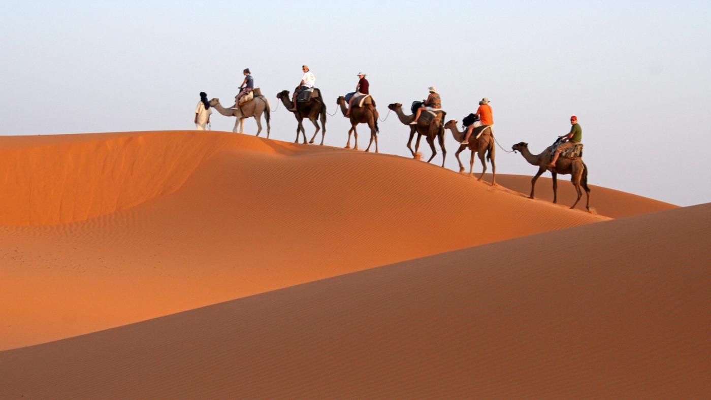 Why Are Camels Called Ships of the Desert?