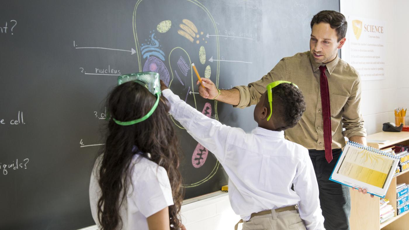 What Are the Eight Levels of Biological Classification?