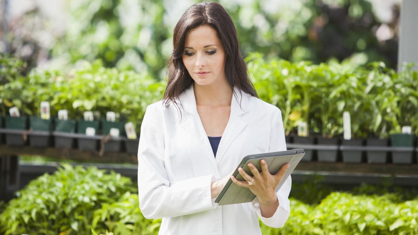 What Do You Call a Scientist Who Studies Plants?