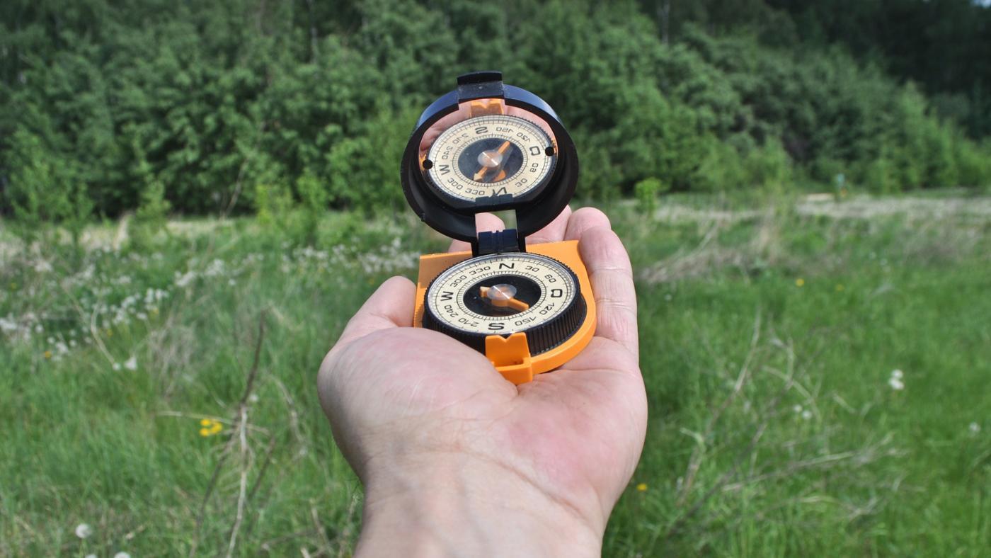 Where Can You Find the Official Boy Scout Letterhead Online?