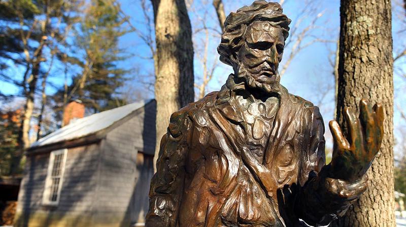 6 Times Civil Disobedience Changed the Course of U.S. History