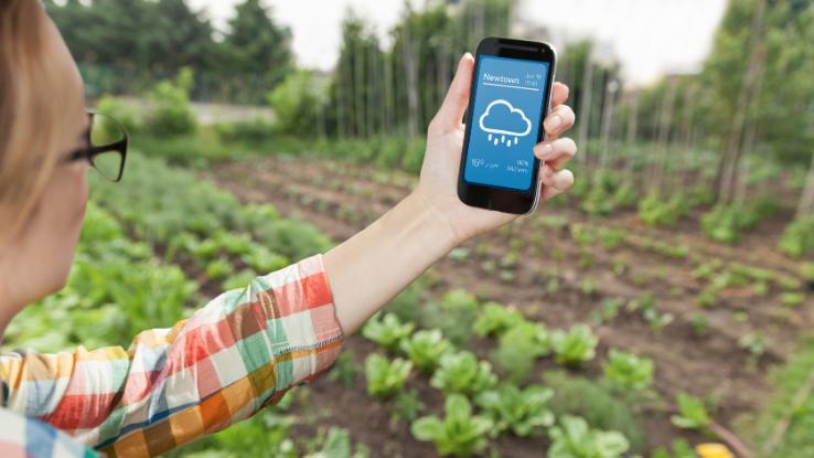 Difficult Predictions: Is AccuWeather's 30-day Forecast Accurate Anymore?