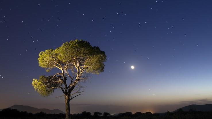 What Do Stars Symbolize? Types of Star Symbols & Their Meanings