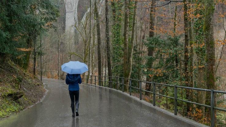 Fact Check: How Accurate Are Farmers Almanac Weather Forecasts in ...