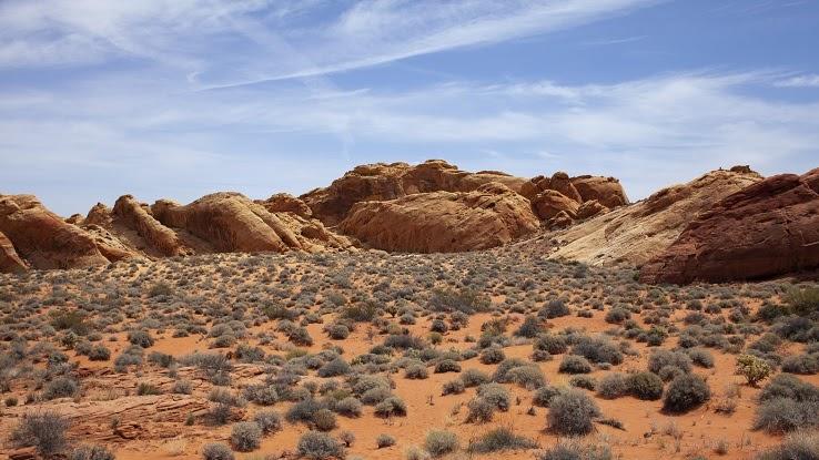 What Are Some Non-Living Things in the Desert?