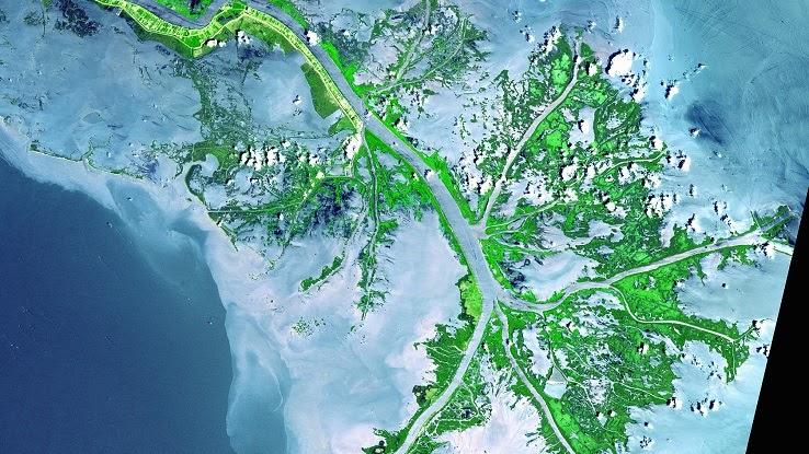 Know Your Body (of Water!): The Differences Between a Bay, a Sound and ...