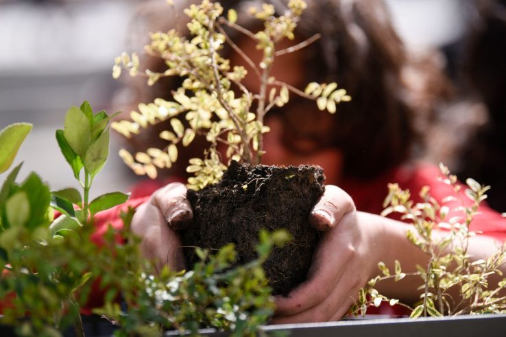 What is Environmental Wellness & How Can You Enhance It?